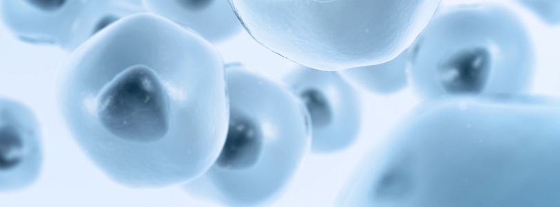 Cell Disruptors | Cell Disruption Technology