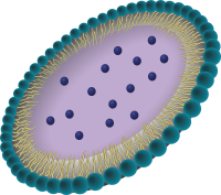 Scalable Technology for Manufacturing Drug Delivery Systems
