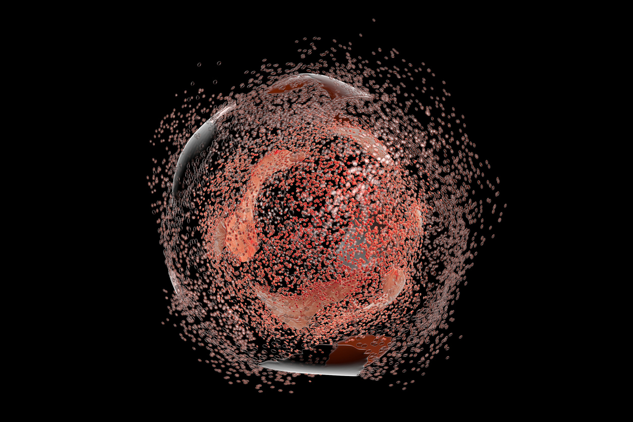 Cell Disruption and Cell Lysis Equipment